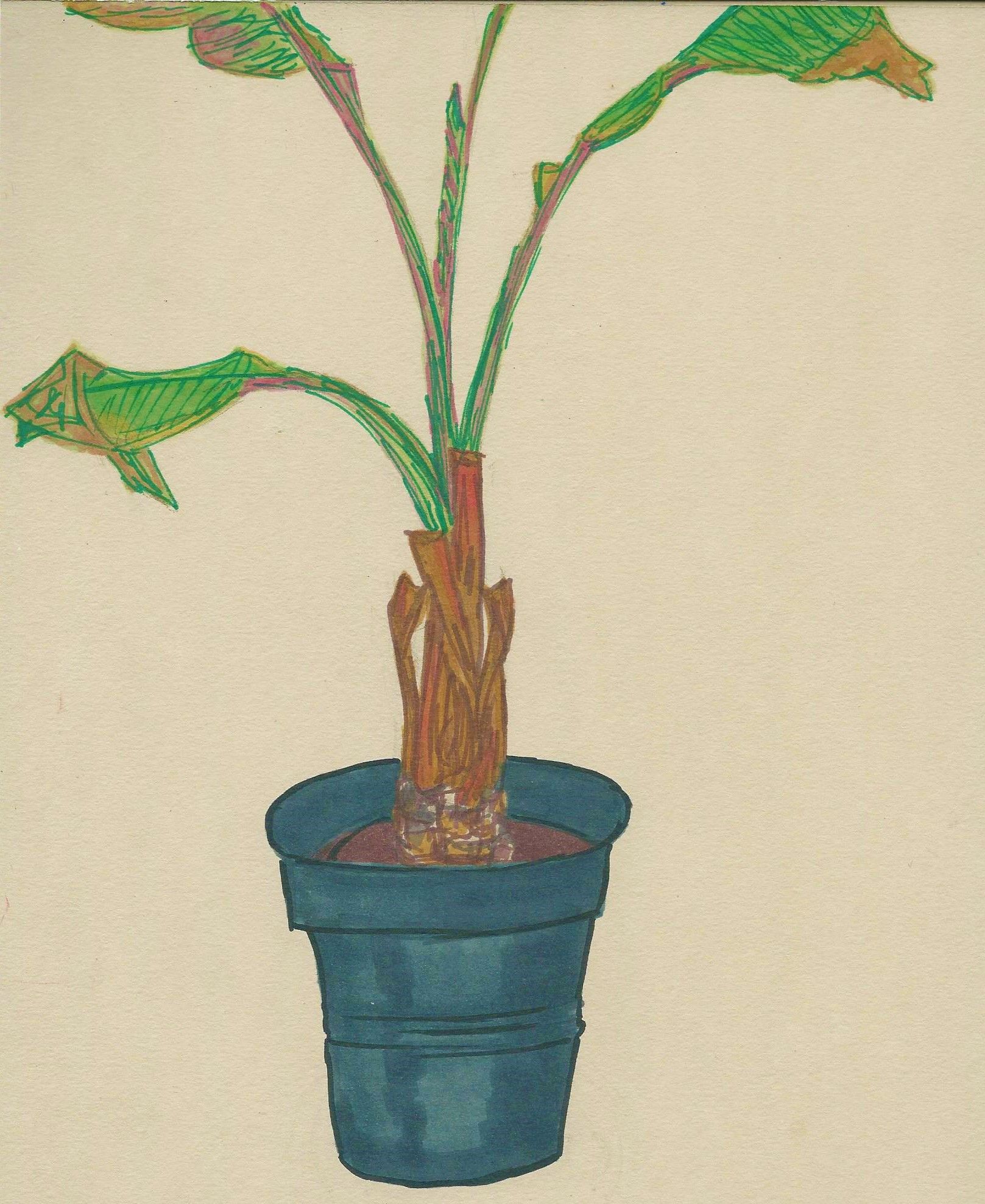 ACADEMIC PRESENTATION II | Genially