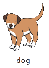 Chapter 1 5 Senses | Genially