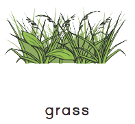 Chapter 1 5 Senses | Genially