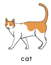 Chapter 1 5 Senses | Genially