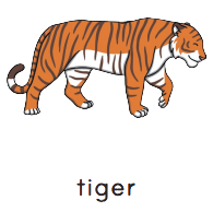 Chapter 1 5 Senses | Genially