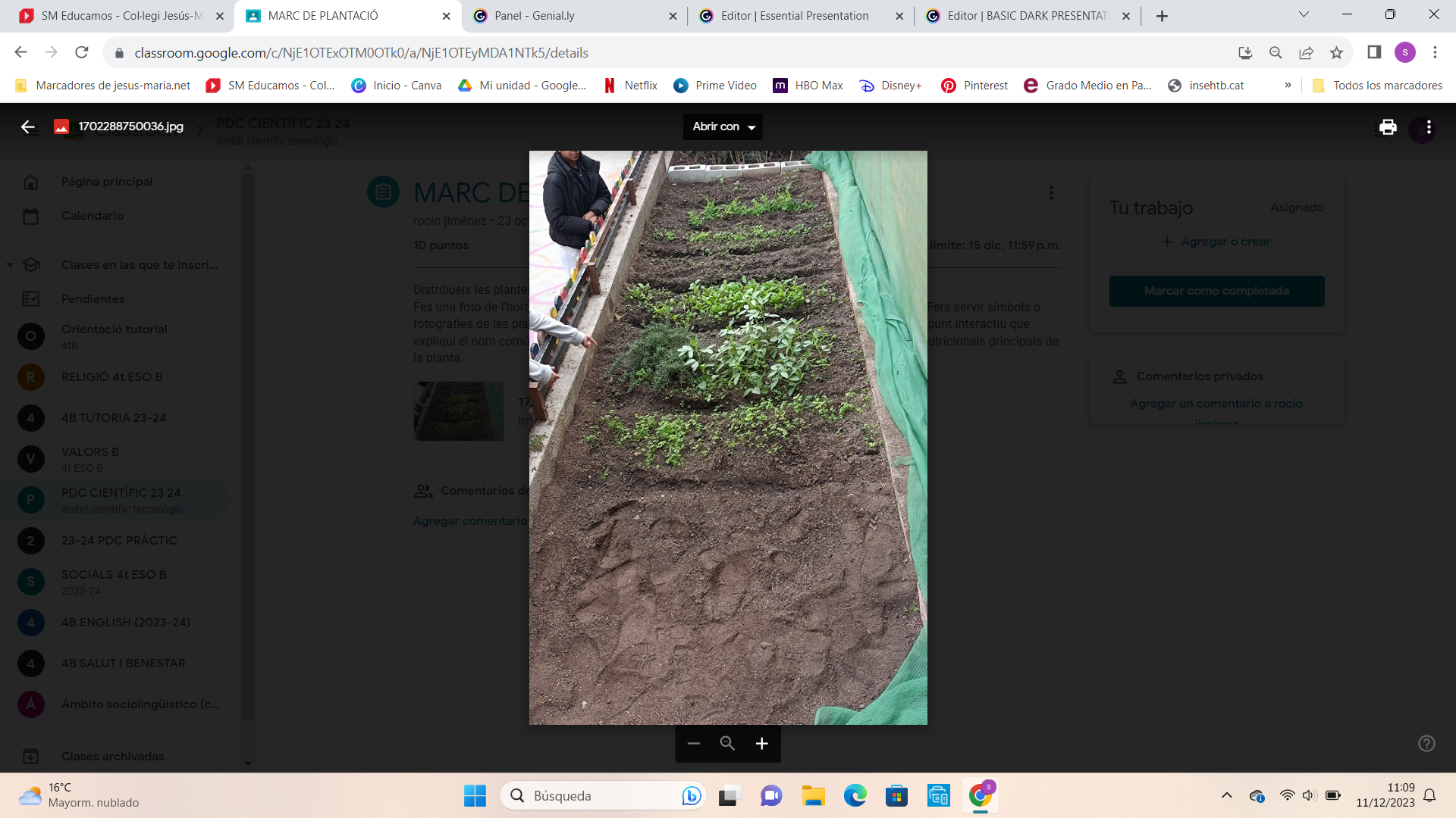 Essential Presentation