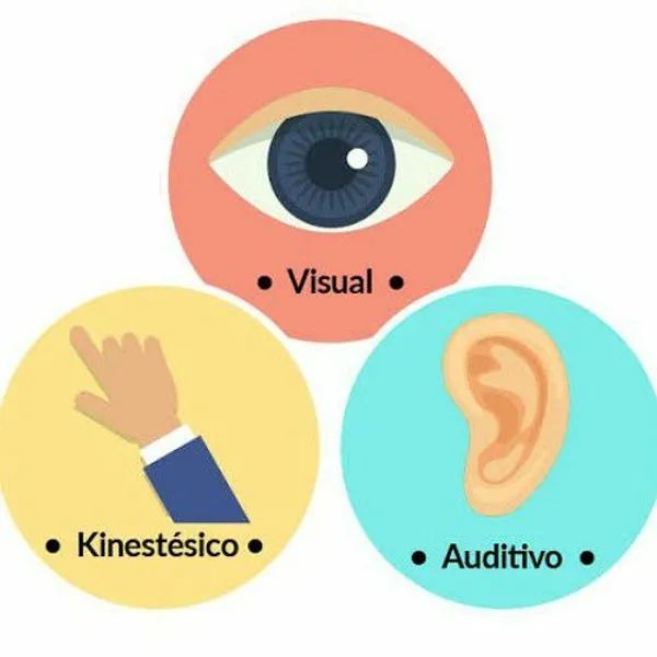 Infografía Estilos de Aprendizaje