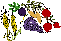 PROCESS DIAGRAM | Genially