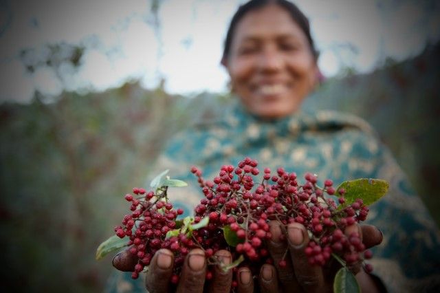 Course 2 - Illustration by Pillars | Genially