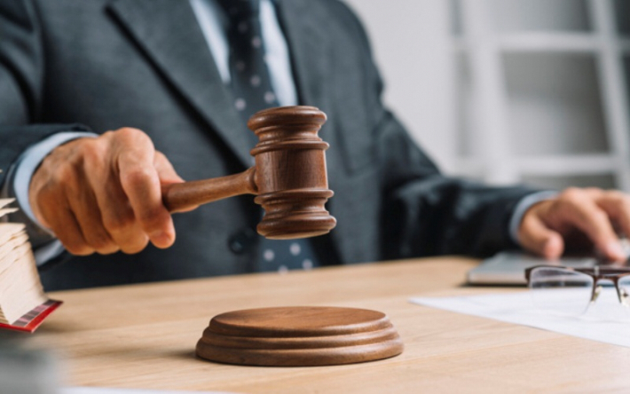 Artículo 8: Derechos Humanos