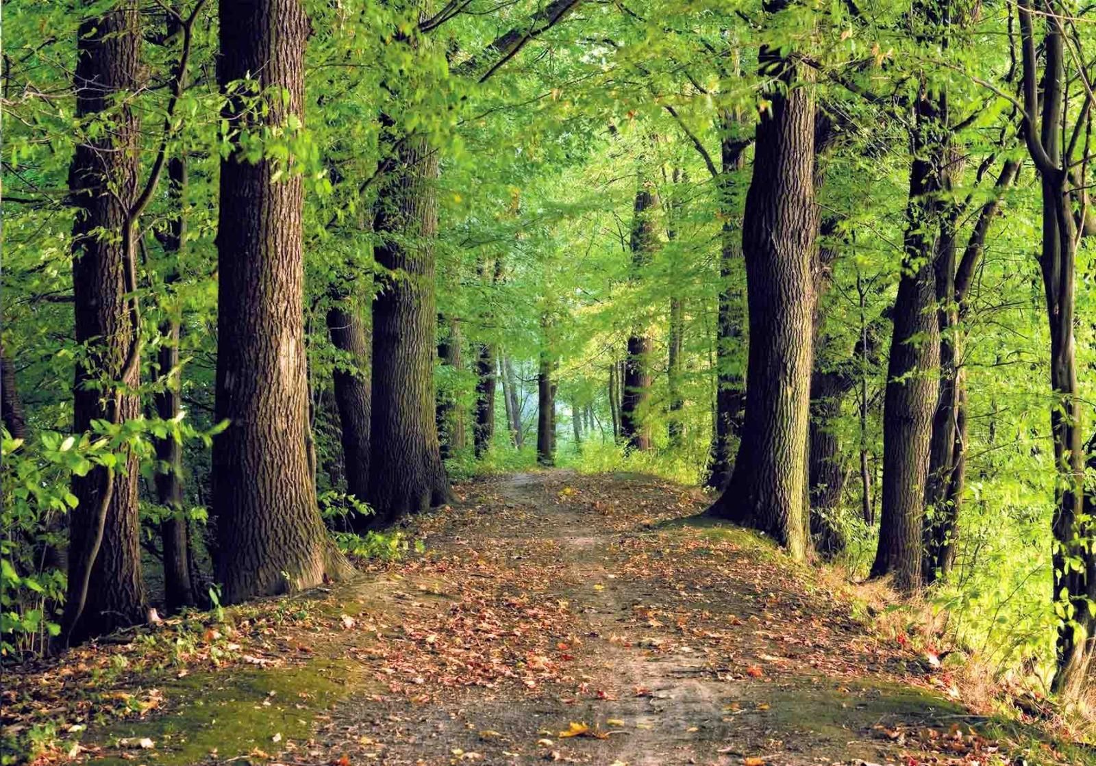 MINIMAL PRESENTATION | Genially