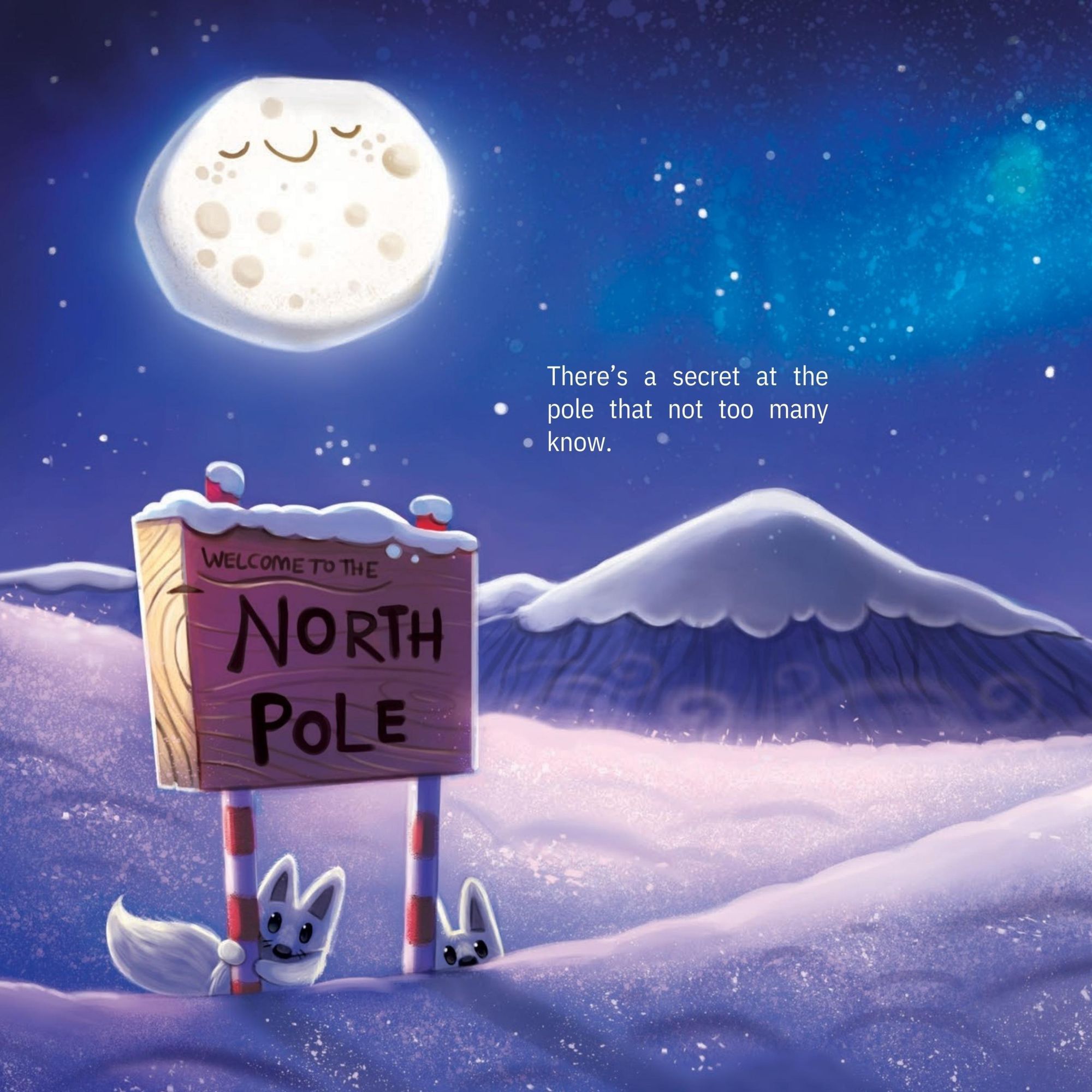 NORTH POLE NINJAS book by Stasya Krapivka