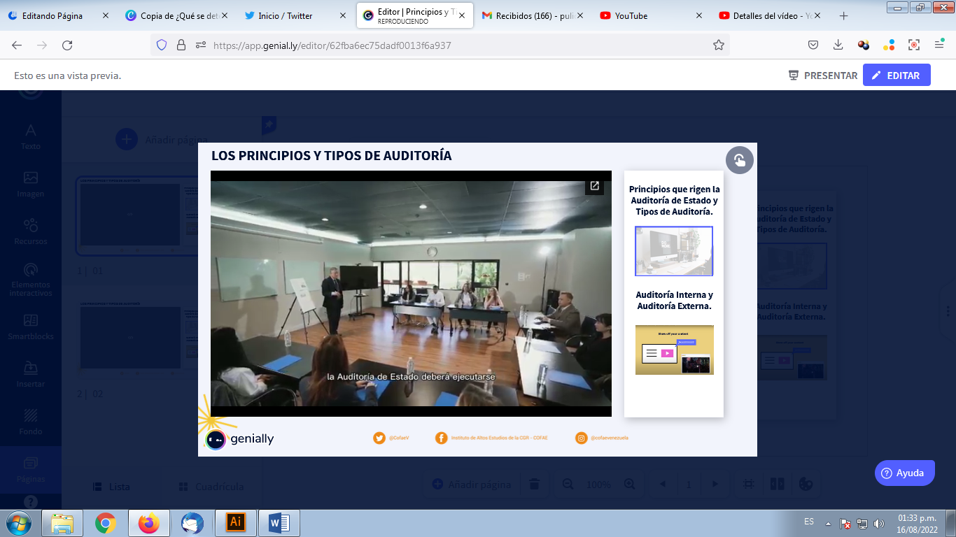 Principios y Tipos de Auditoría | Genially