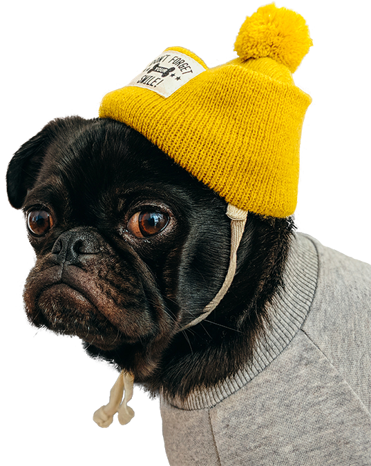 Reading kb1 | Genially