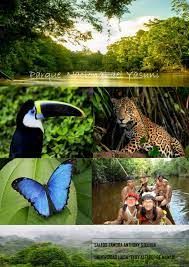 Yasuni park tour guide | Genially