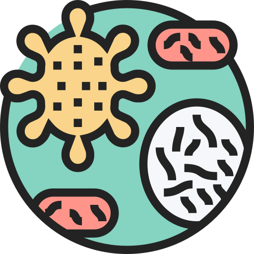 repaso microorganismos | Genially