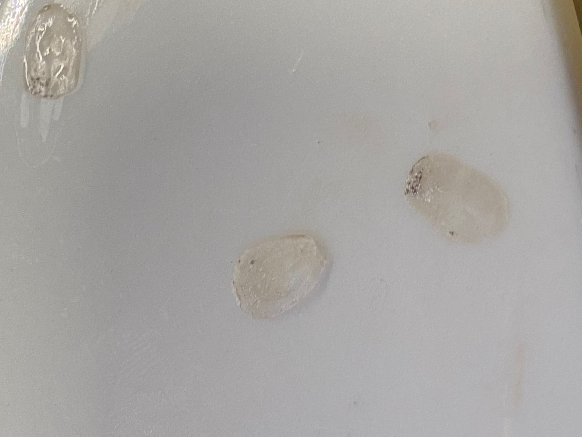 INFO GENIAL | Genially