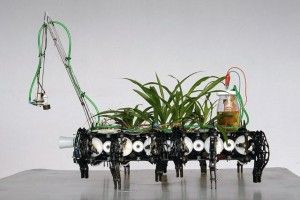 Robots ecológicos | Genially