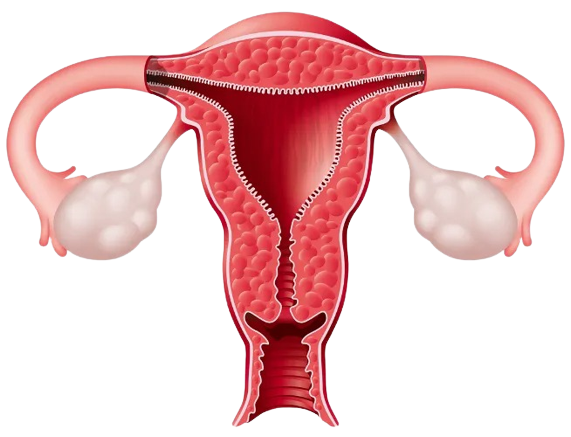 BASIC PRESENTATION | Genially