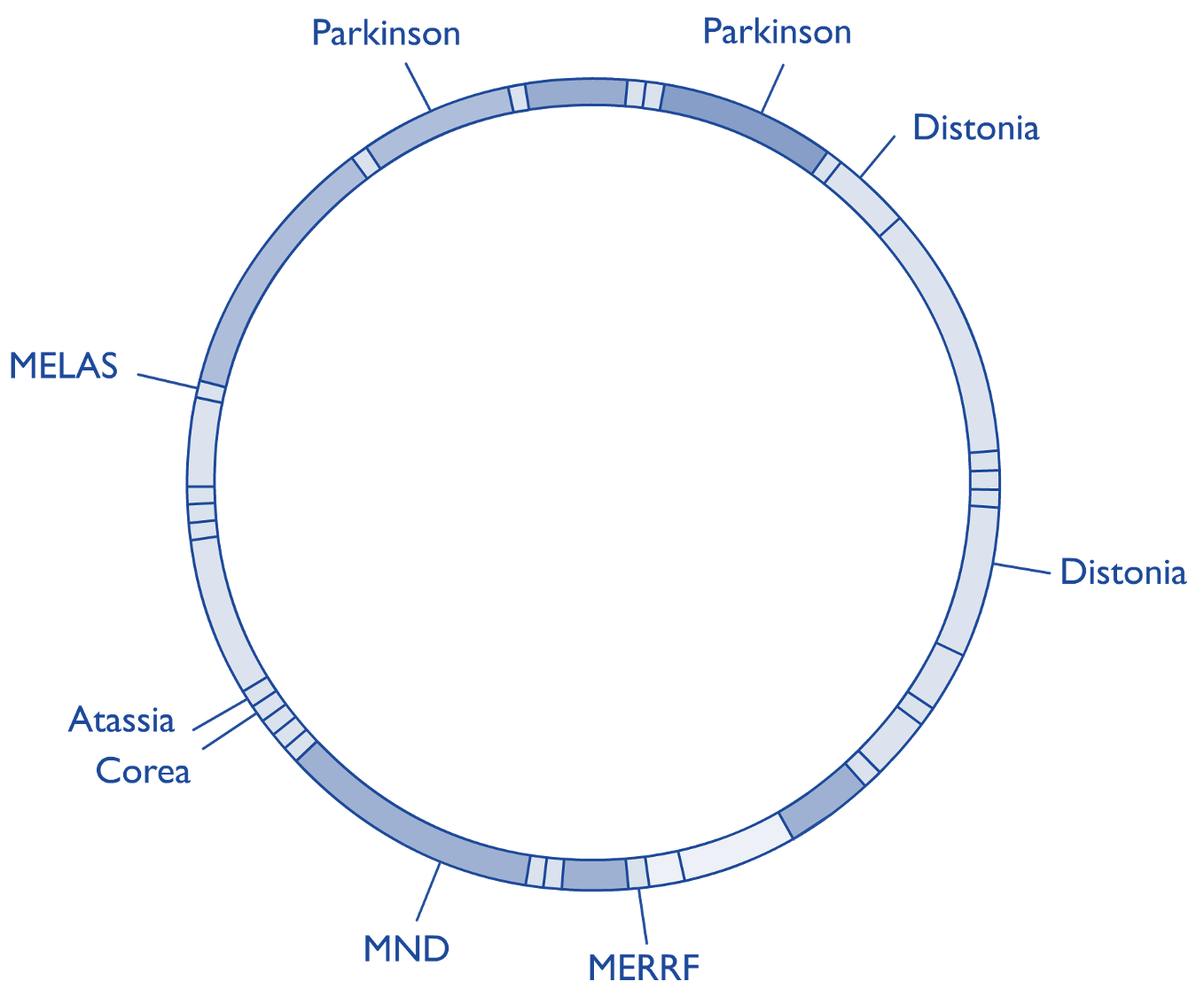 Organización del genoma humano | Genially