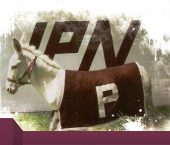 BURRITO BLANCO MASCOTA DEL IPN | Genially