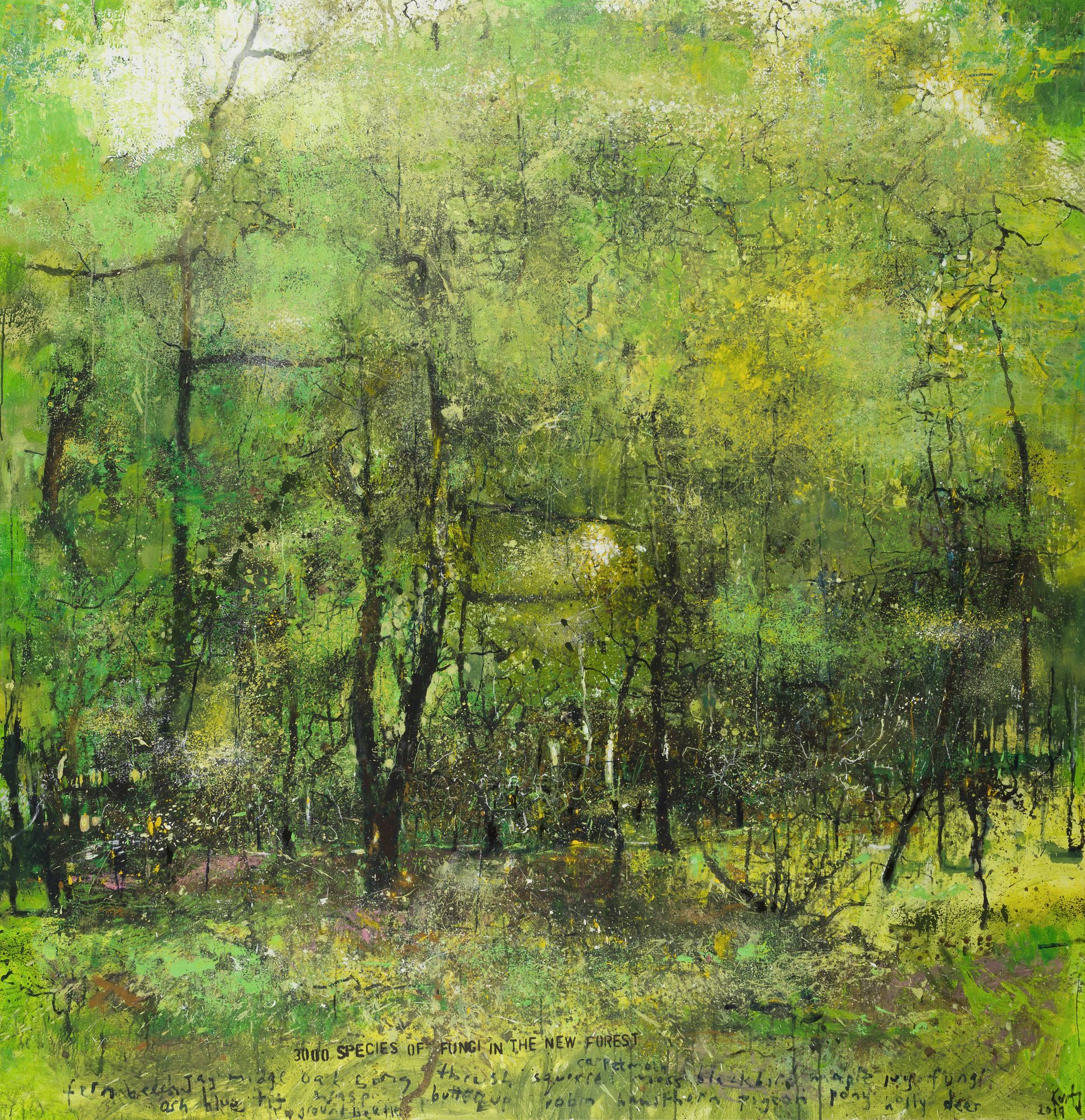 Three thousand species of fungi in the New Forest by Kurt Jackson ...