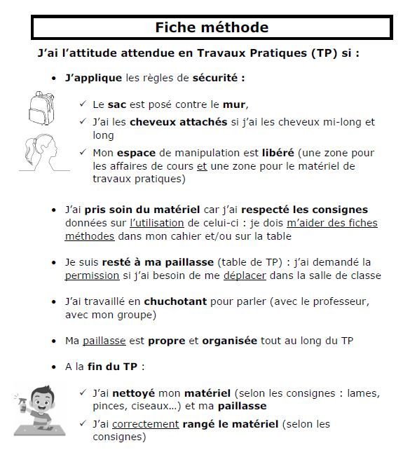 Les fiches méthodes