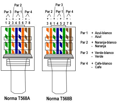 Infografi Cable UTP | Genially