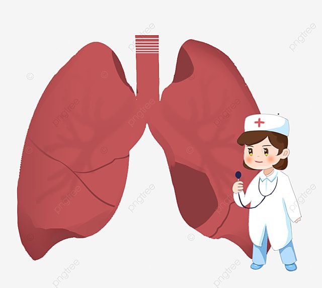 MAPA MENTAL EPOC | Genially