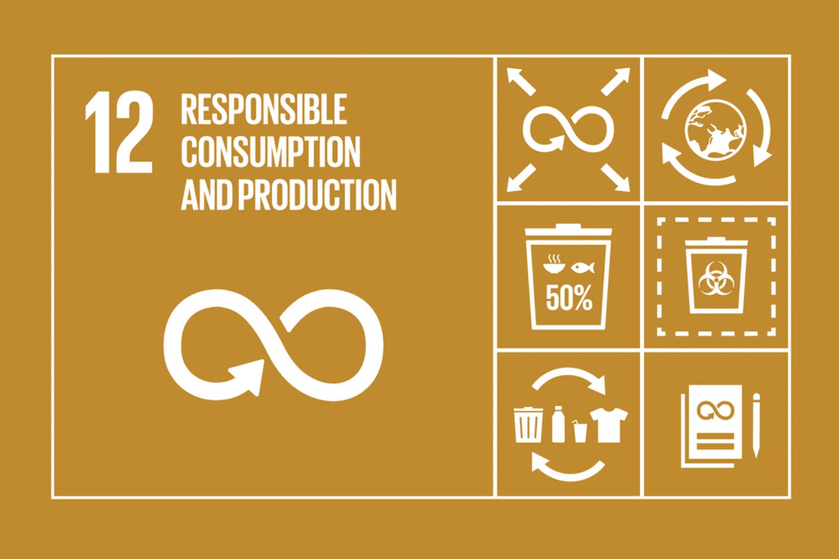 SDG 12 Luciana Burbano | Genially