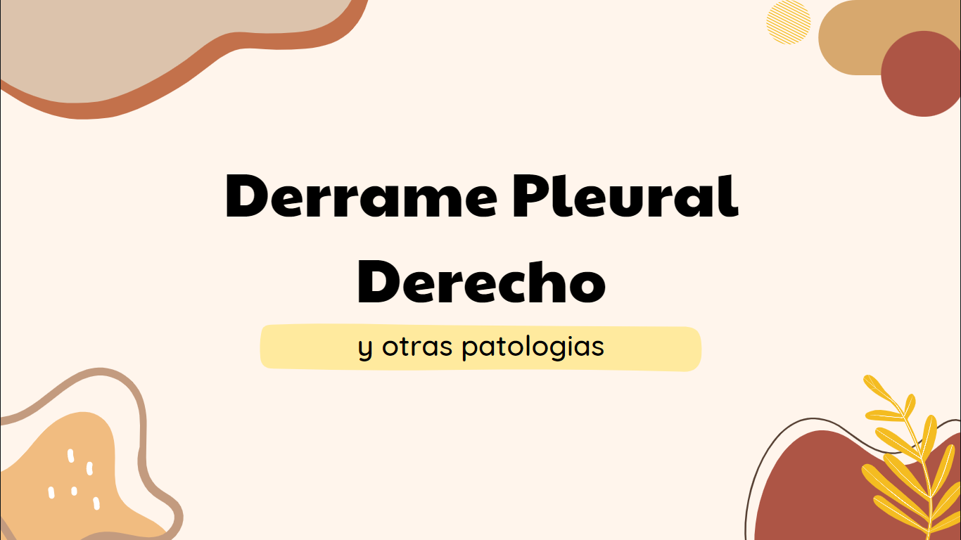 PAE DEFENSA FEII | Genially