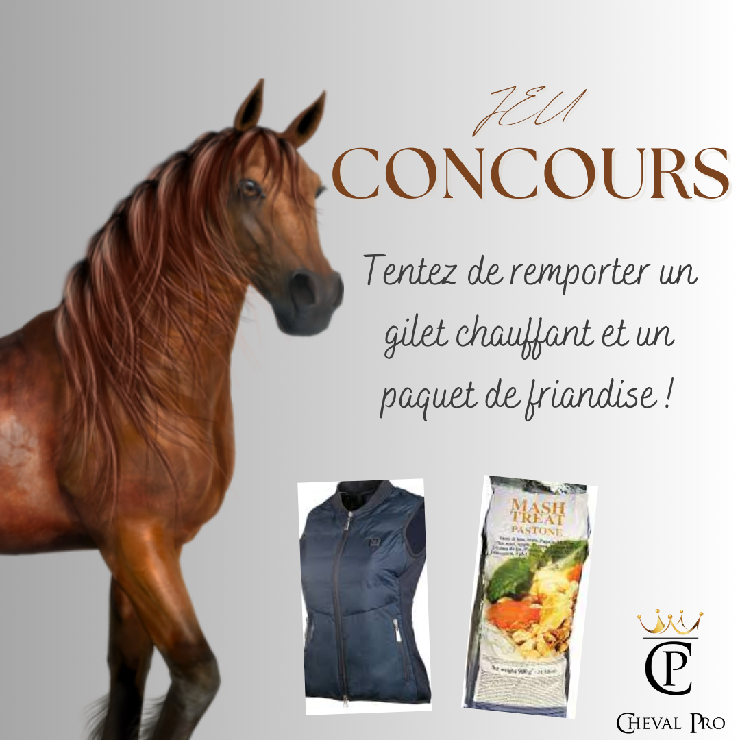 Instagram cheval pro | Genially