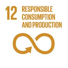 SDG 12 | Genially