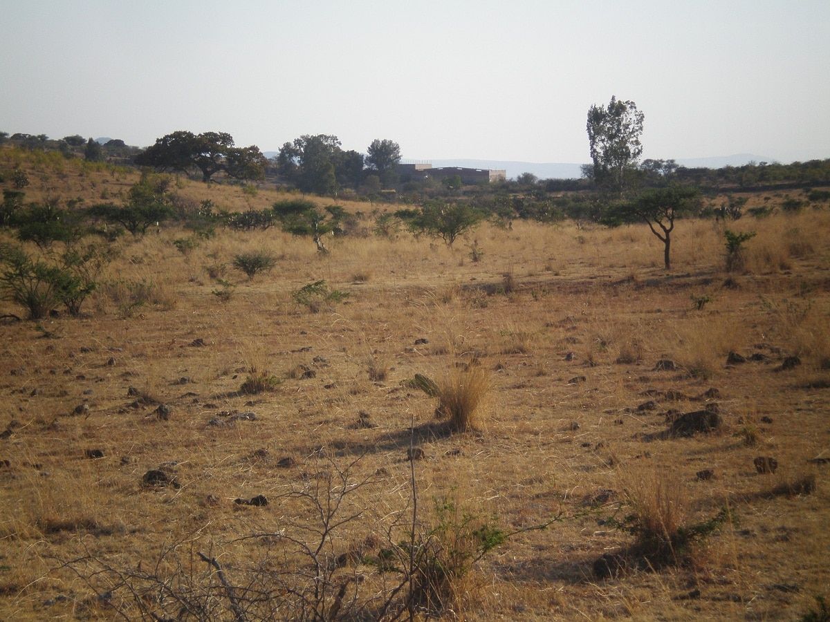 CLIMA SECO | Genially