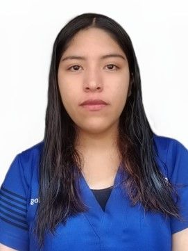 ORGANIGRAMA - BME | Genially