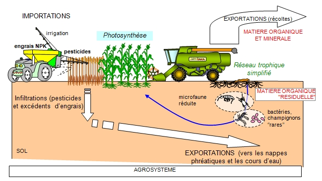 Les Terres Arables | Genially
