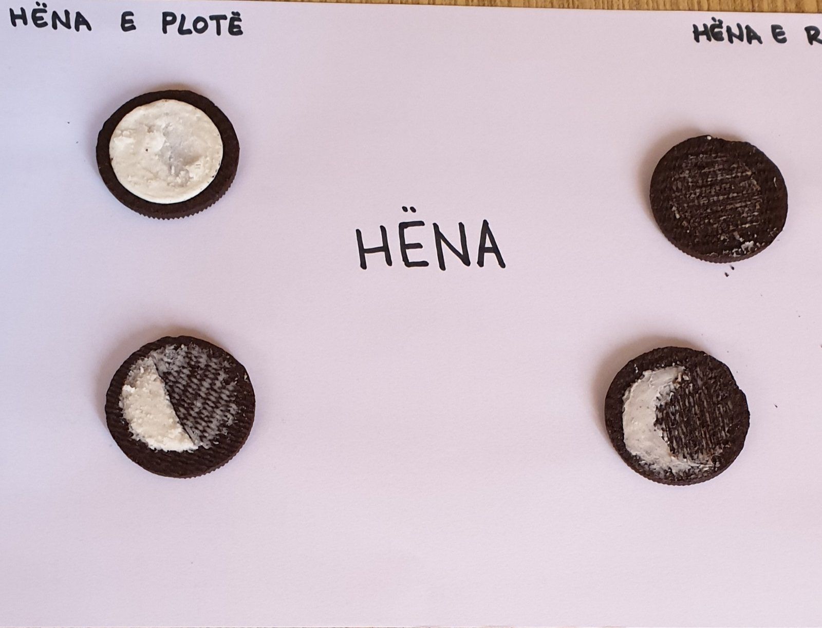 Summer acttivities | Genially