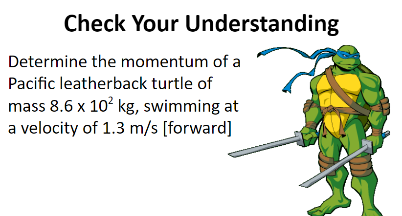 Momentum and Impulse infographic | Genially
