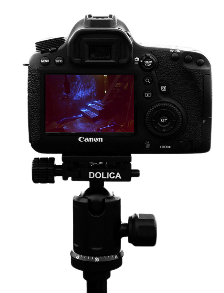 Crime Scene Photography | Genially