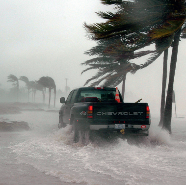 Step 17 Unit 83 Block 1 | Genially