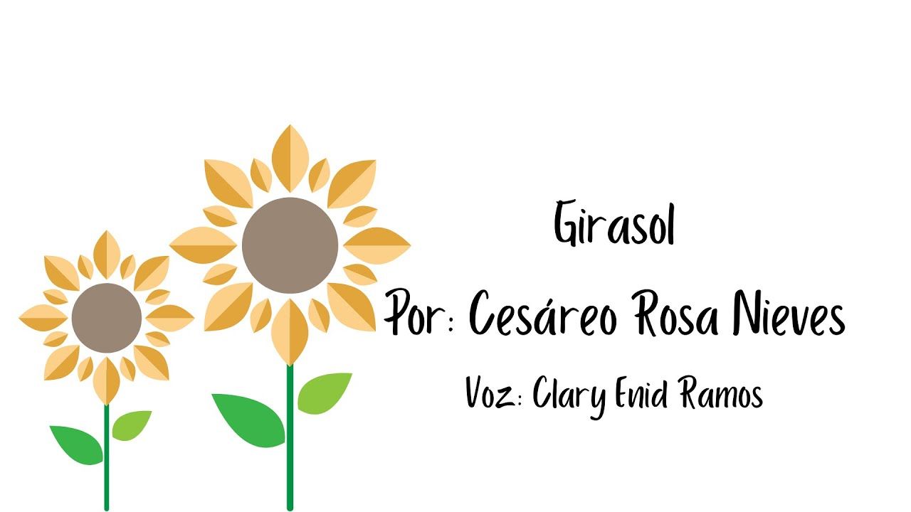 BRANDBOARD CORPORATIVO VERTICAL