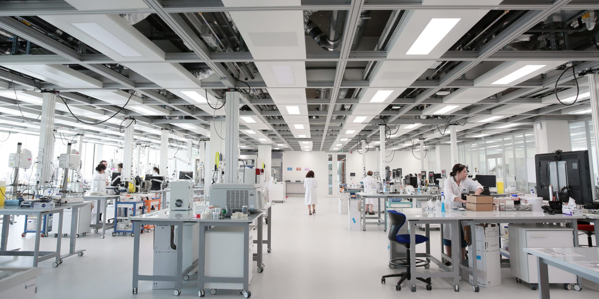 BASIC DARK PRESENTATION