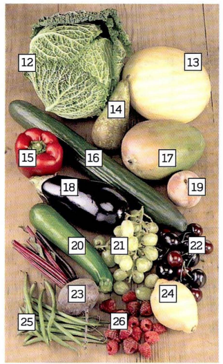 Food Vocabulary | Genially