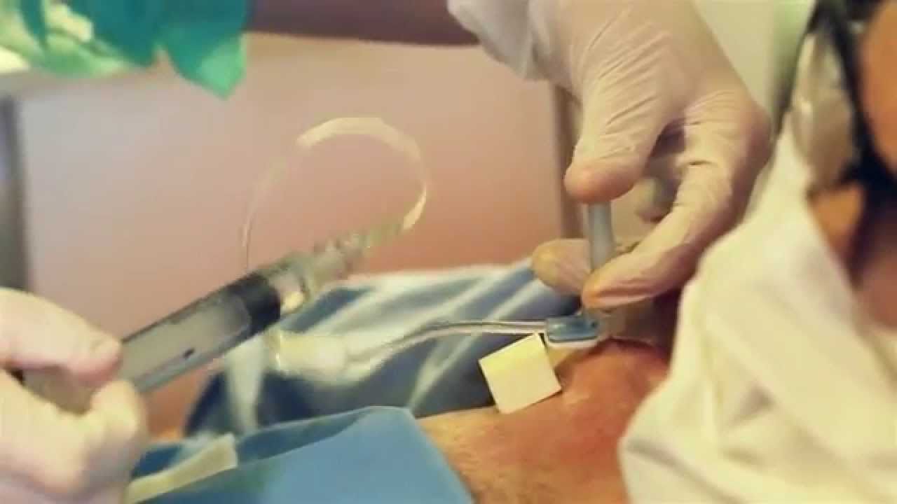 PRESENTATION UE 4.4 S5