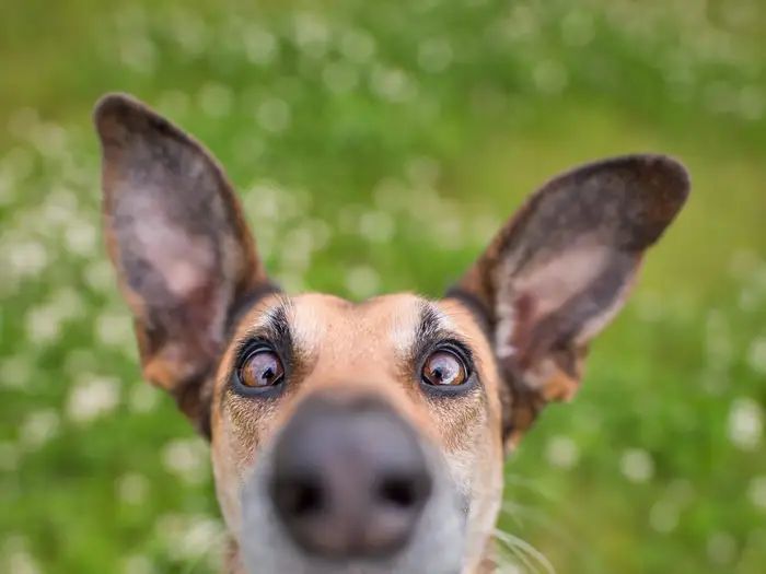 types of films_ppt | Genially