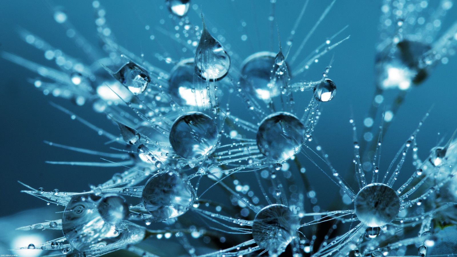 Granulation - VIDEO GALLERY | Genially