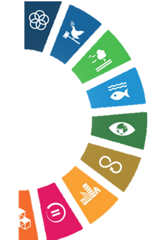 Examen Parcial_Infografía ODS | Genially