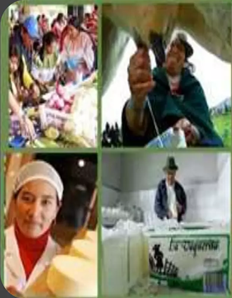 SECTOR COMUNITARIO Y ASOCIATIVO (EPS) | Genially