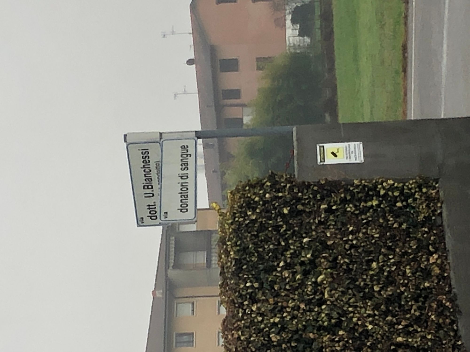 DECADES PRESENTATION