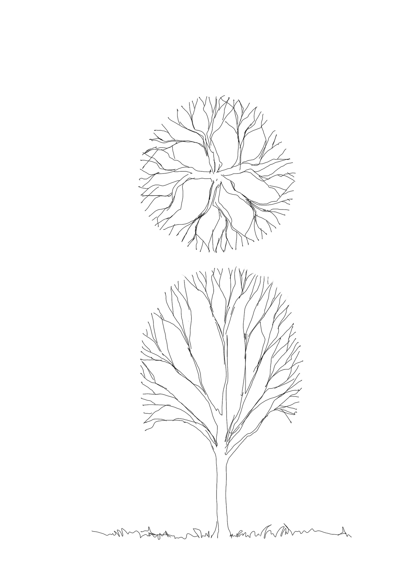 INA 1103_65_02 Tree | Genially