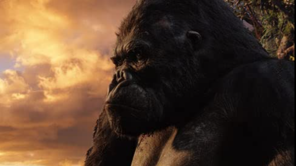 FIGURA Y FONDO | Genially