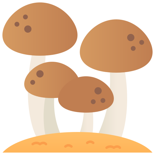 PRACTICE #3 - VEGETABLES | Genially