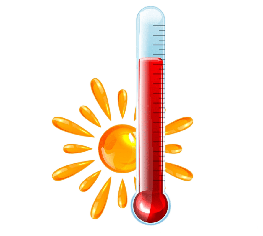 Summer holiday | Genially