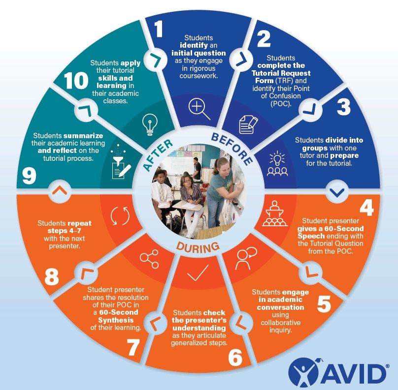 AVID Tutorial Phases | Genially